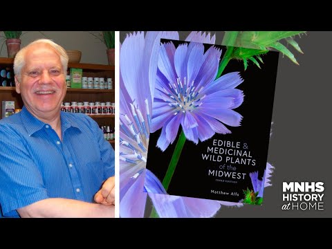 Edible & Medicinal Wild Plants of the Midwest – Minnesota Historical ...